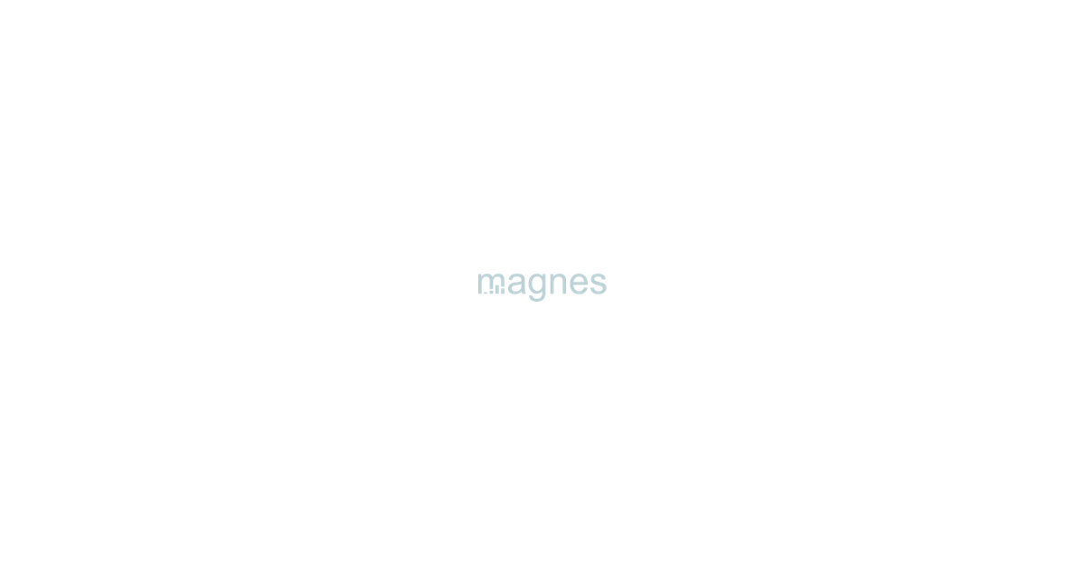 Magnes Company Profile: Funding, Investors & Partnerships
