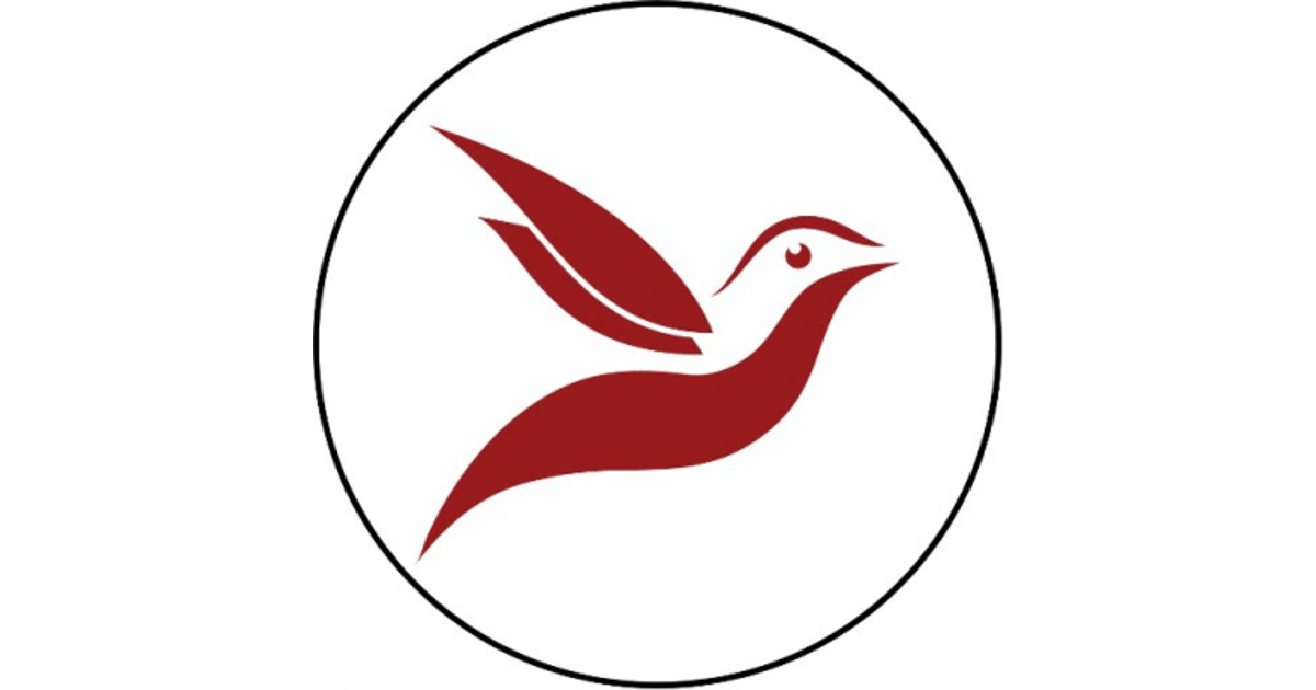 Redbird Company Profile: Funding, Investors & Partnerships