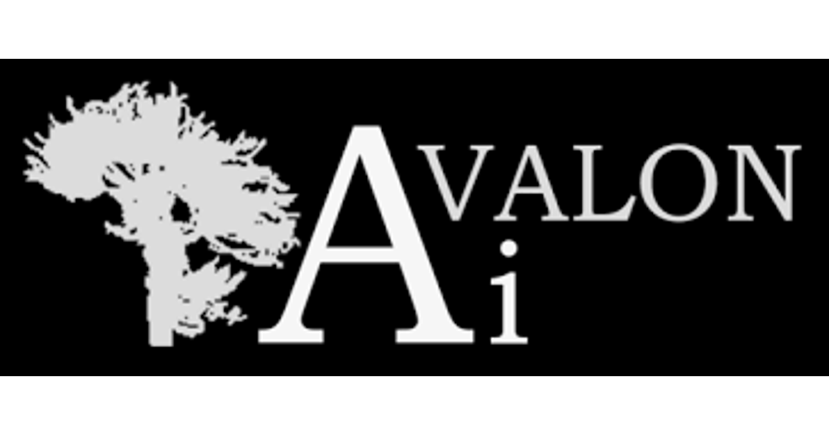 Avalon AI Company Profile: Funding, Investors & Partnerships