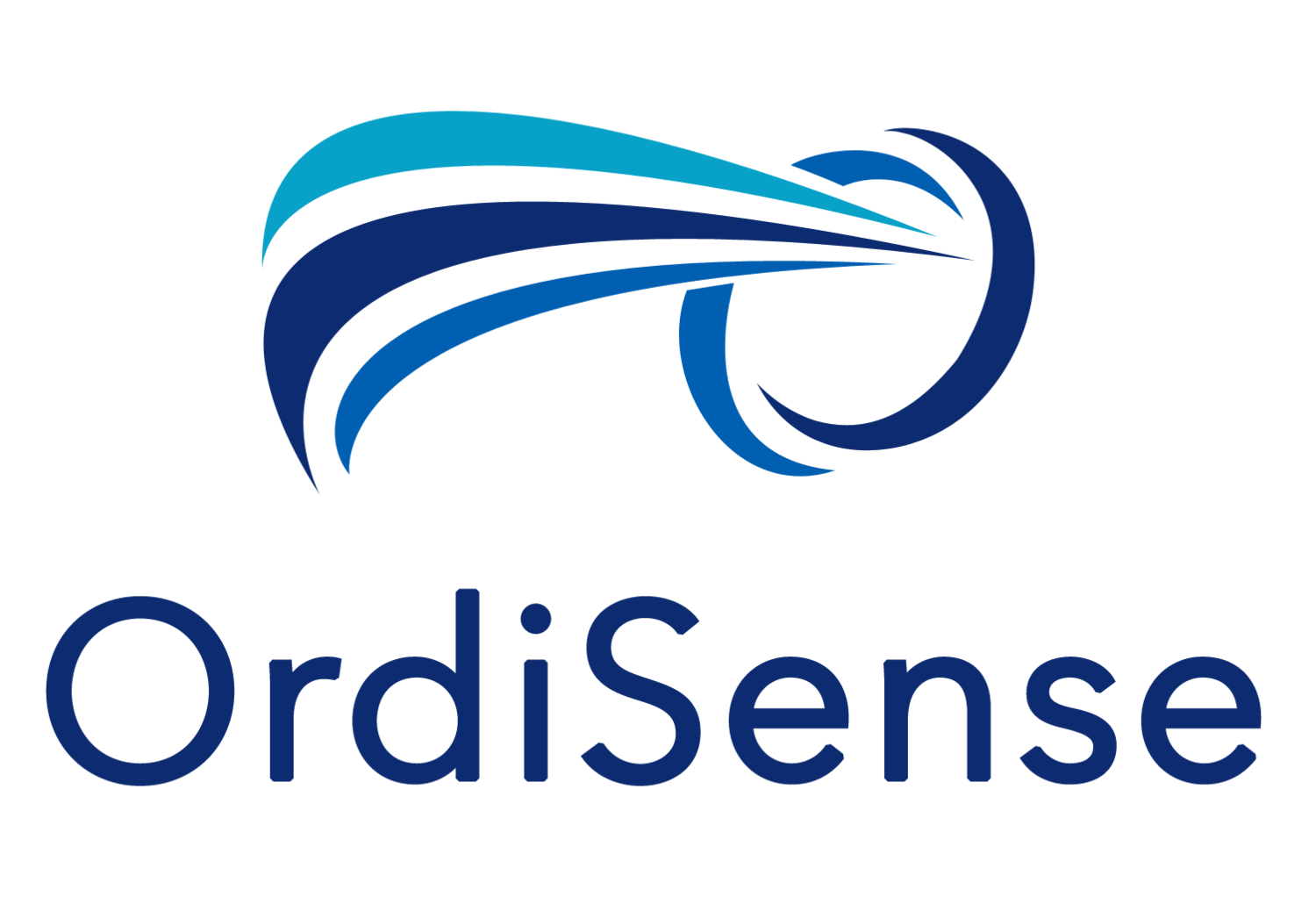 OrdiSense - Team members, CEO, Employees