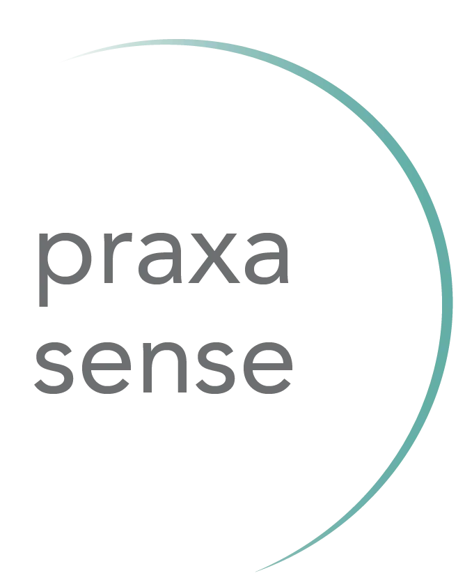 Praxa Sense - Team members, CEO, Employees