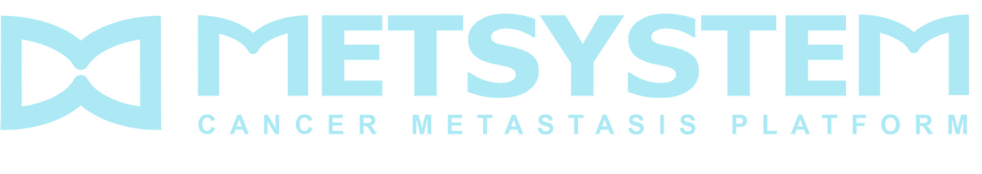 Metsystem - Products, Applications, Solutions, Service