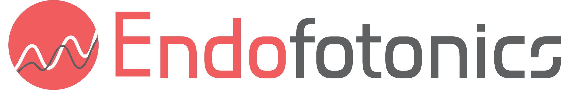 Endofotonics | Team members | HealthTech Alpha